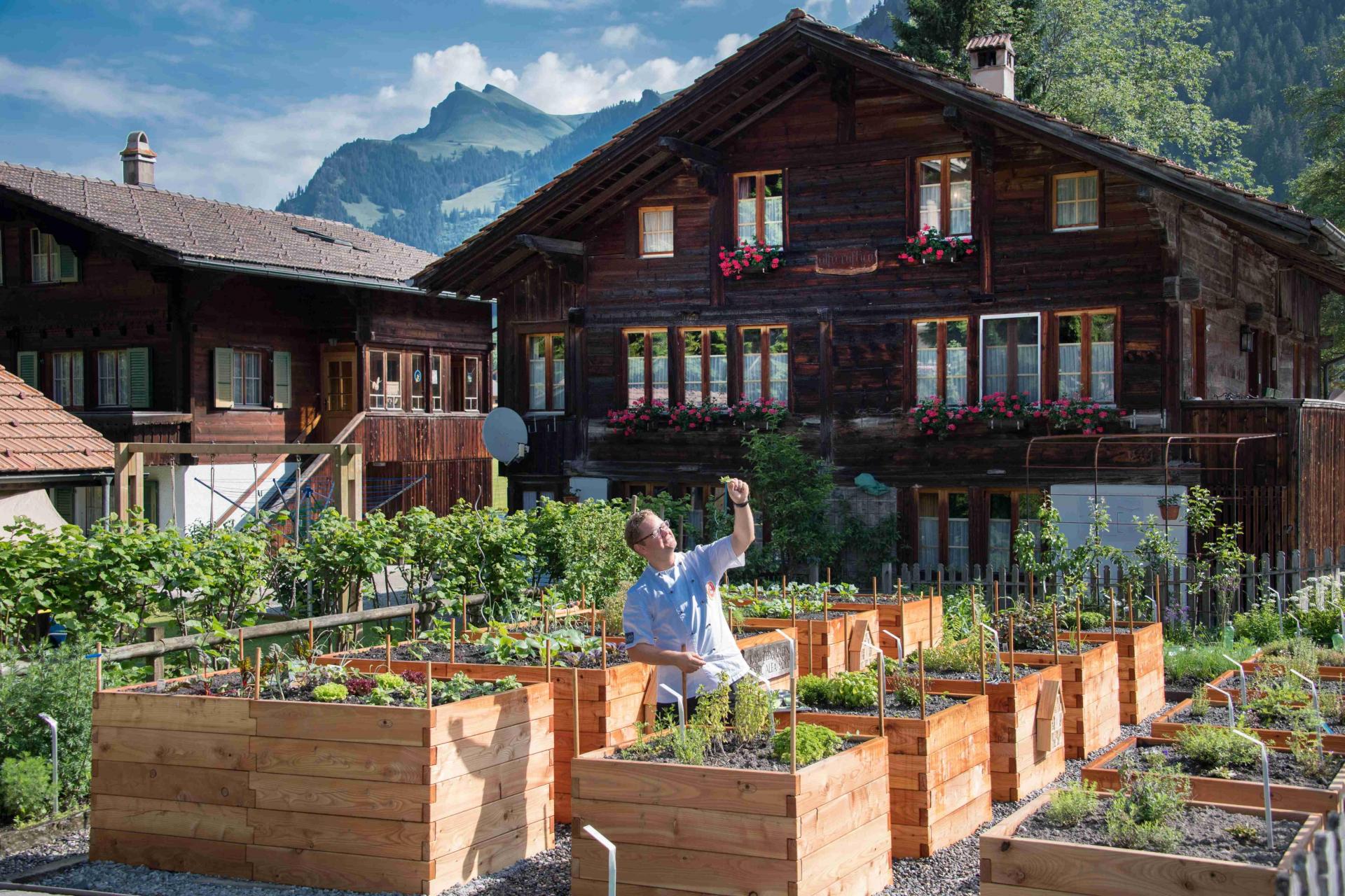 Rezeptionist/in bei Hotel Alfa Soleil in Kandersteg - Rolling Pin