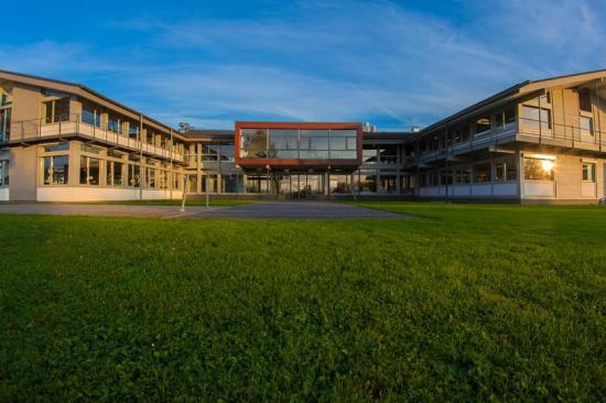 Support & Software Consultant bei vioma in Offenburg - Rolling Pin